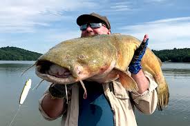 "Slow Wisdom Beneath the Riverbed: How Catfish Quietly Dominate Their ...